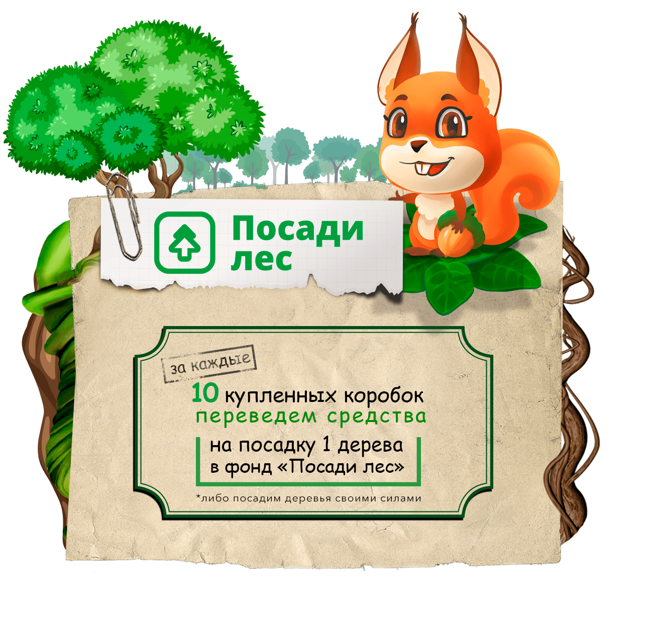 «Живой лес» — очаровательный хит 2021 года!